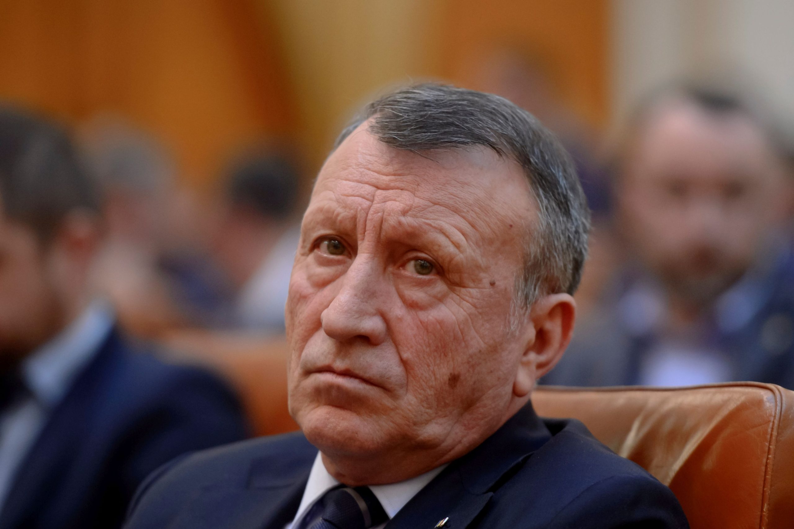 Paul Stănescu, afacerea cu stufuldin Delta Dunării